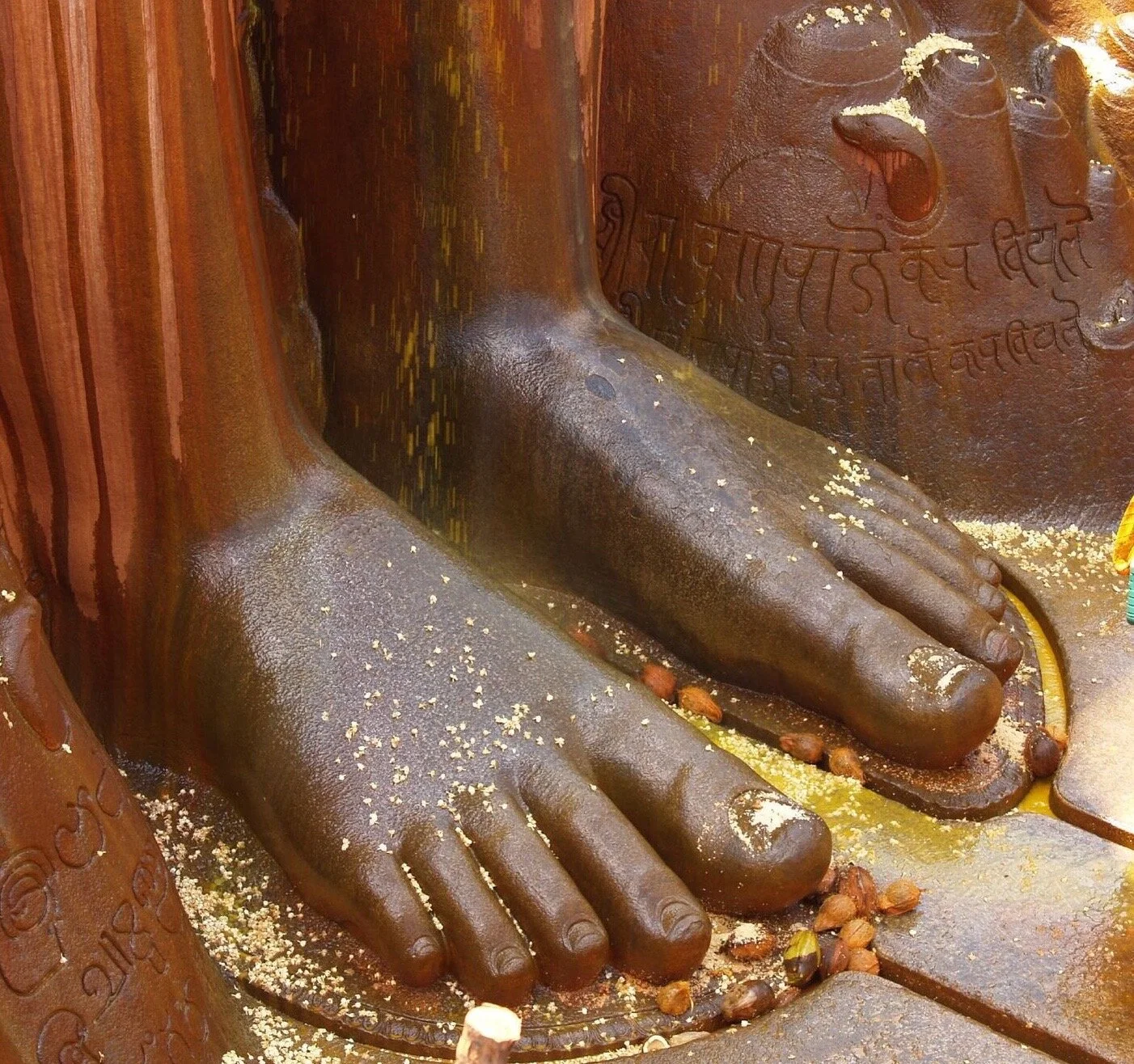 Come Home to Your Feet—Live Online — Heal Your Posture — Mary Bond