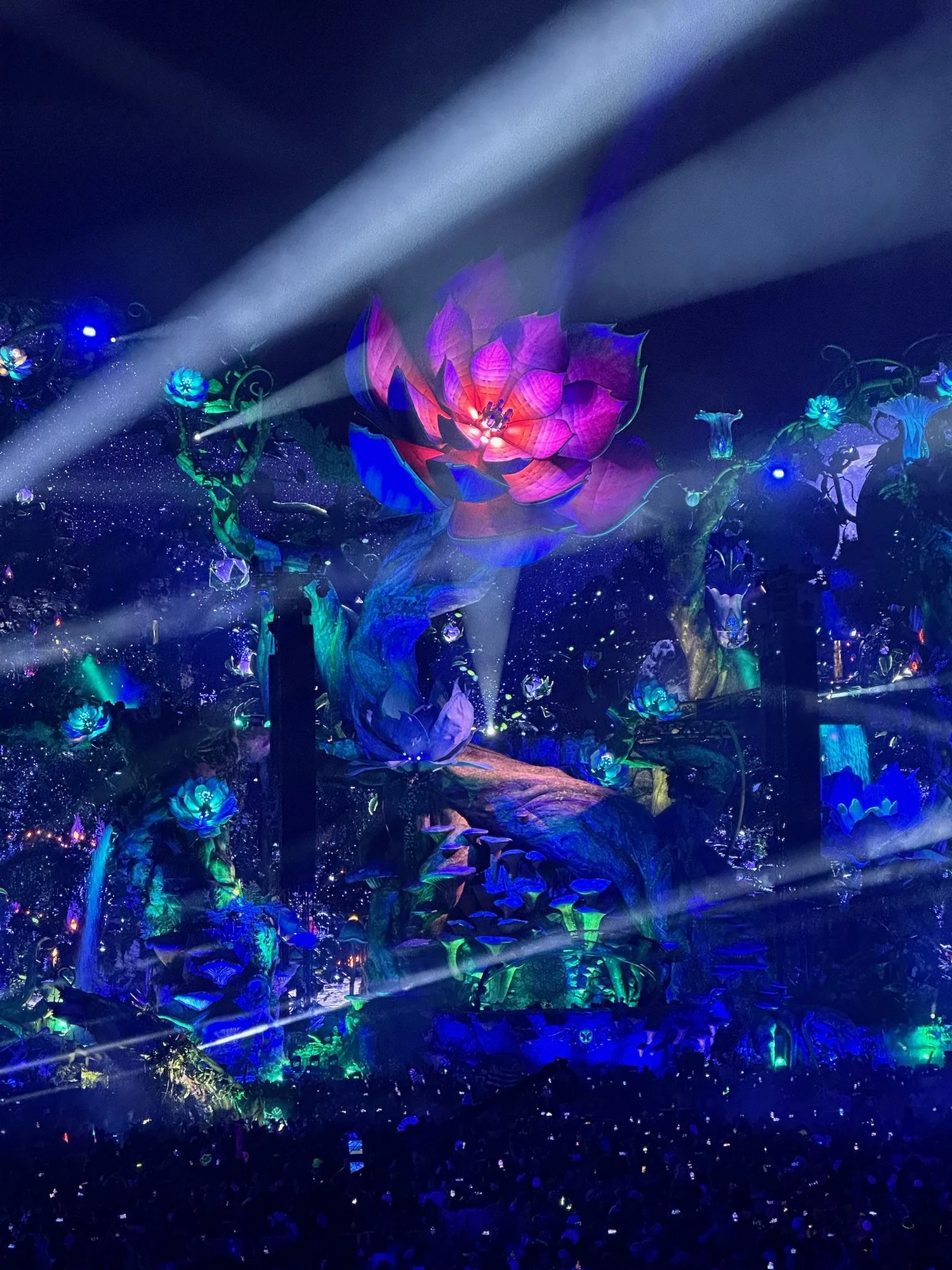 A First Timer’s Guide to Tomorrowland — Paige's Postcards