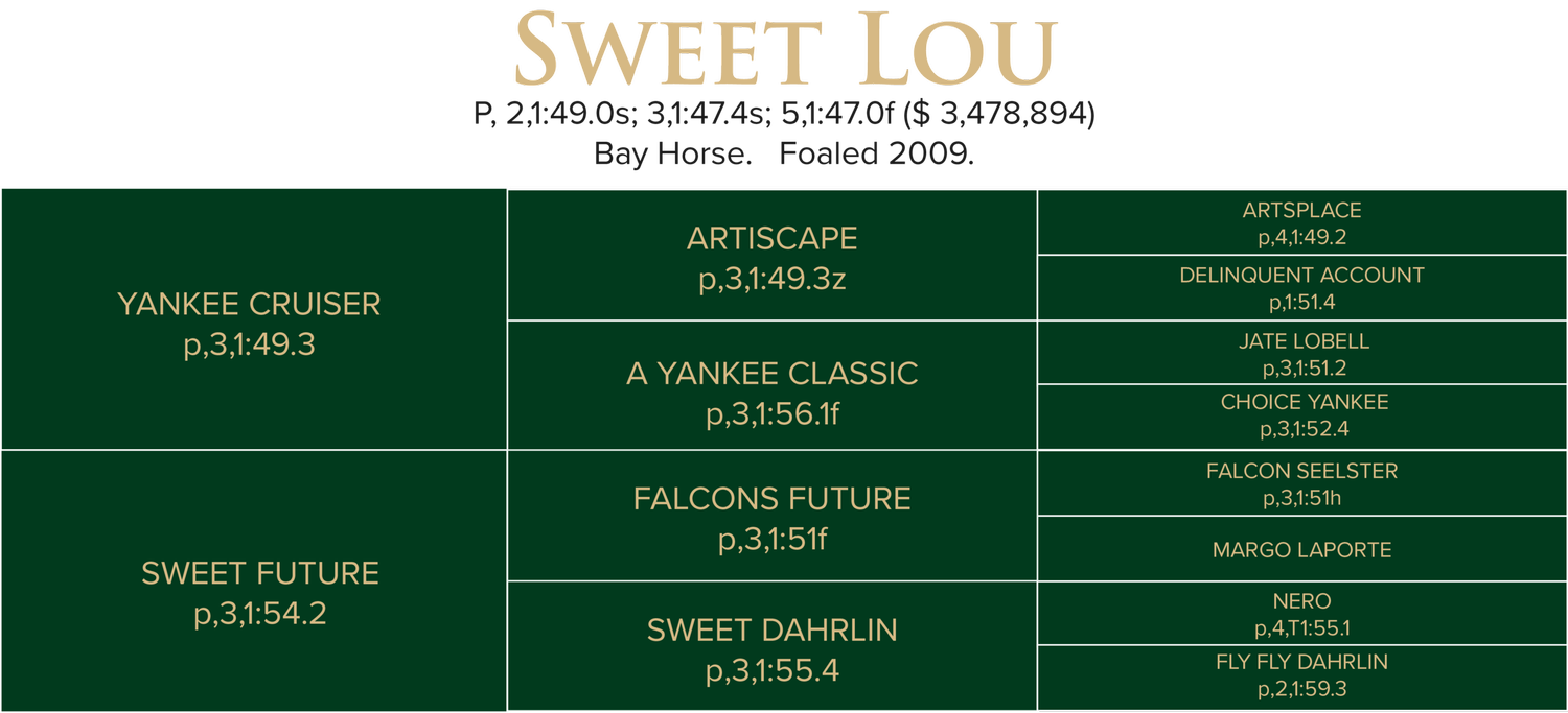 Sweet Lou — Woodlands Stud