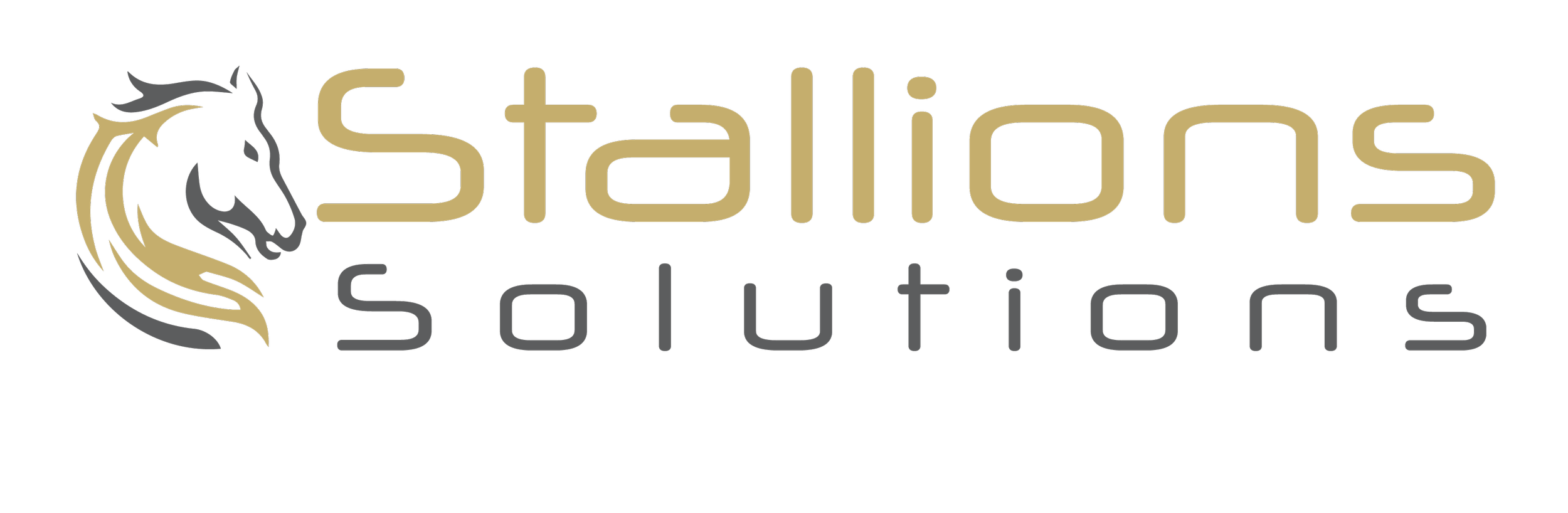 Stallions Solutions | Bramble Hub