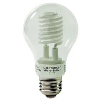 The Differences Between CFLs and CCFLs — 1000Bulbs Blog