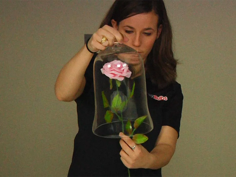 DIY Enchanted Rose from Beauty and the Beast — 1000Bulbs Blog