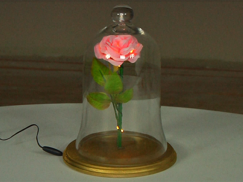 DIY Enchanted Rose from Beauty and the Beast — 1000Bulbs Blog