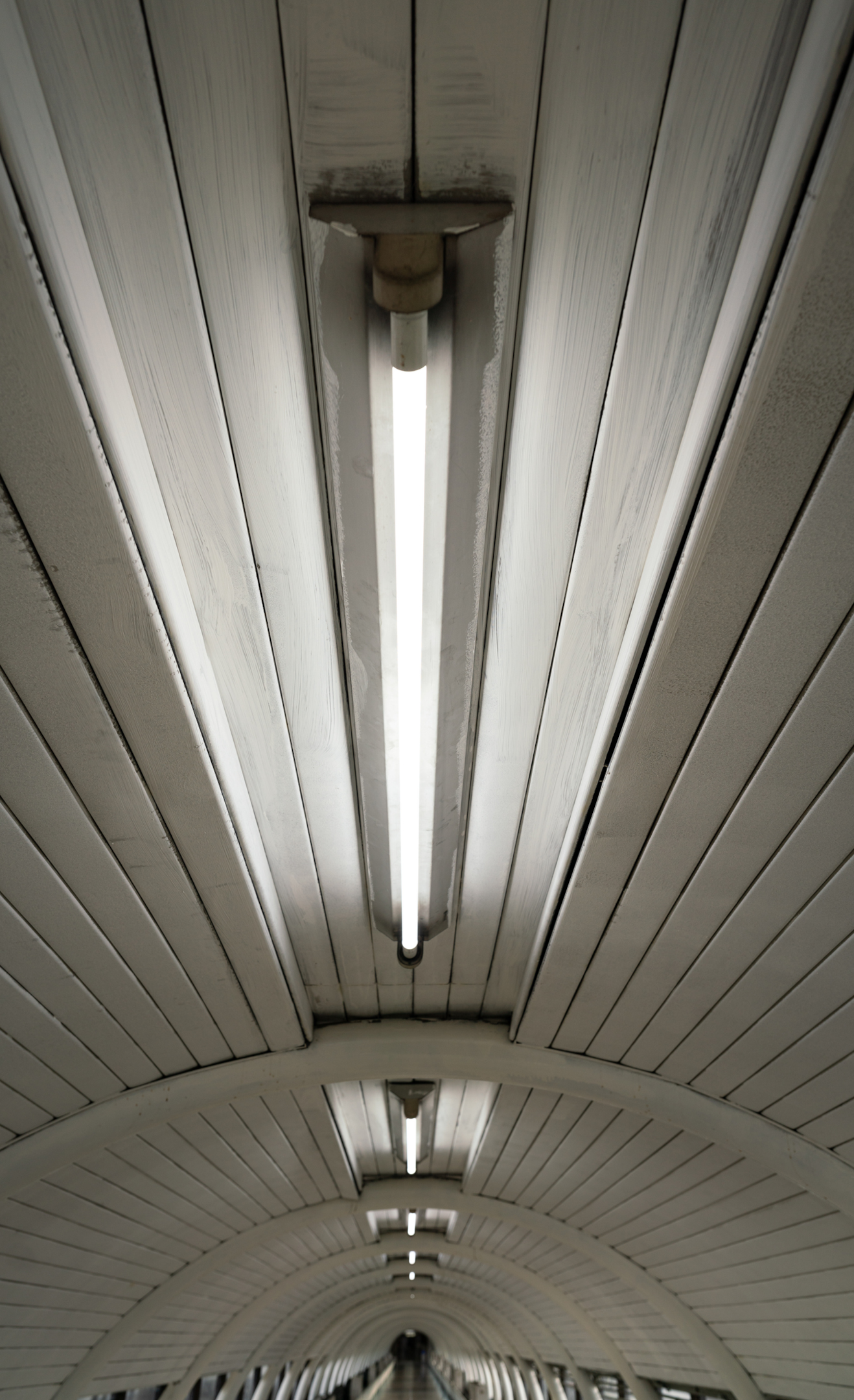 Choosing the Best Fluorescent Ballast for Your Lighting Needs ...