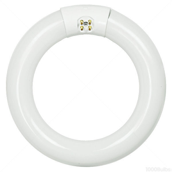 LED or Fluorescent? A Quick Look at Tube Lights — 1000Bulbs Blog