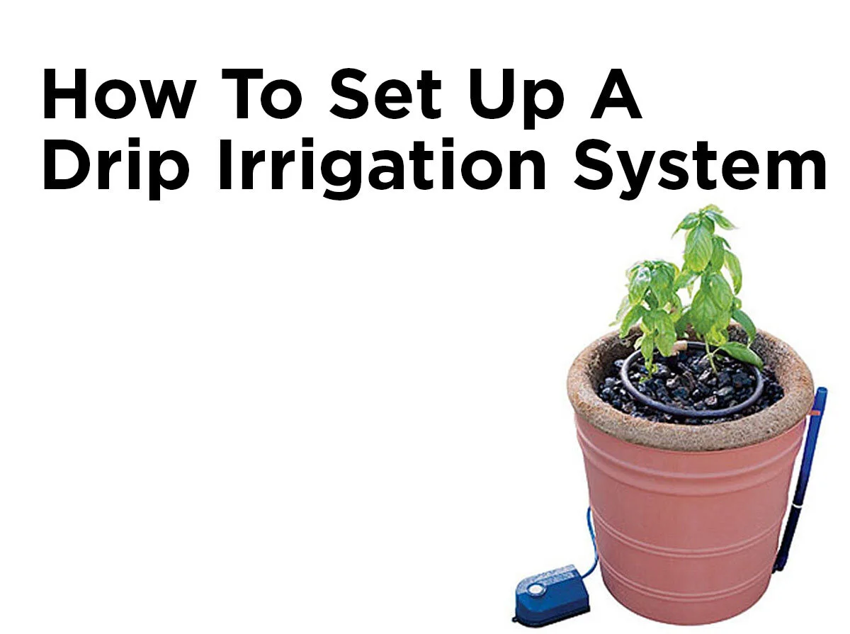 Simple Drip Irrigation Diagram