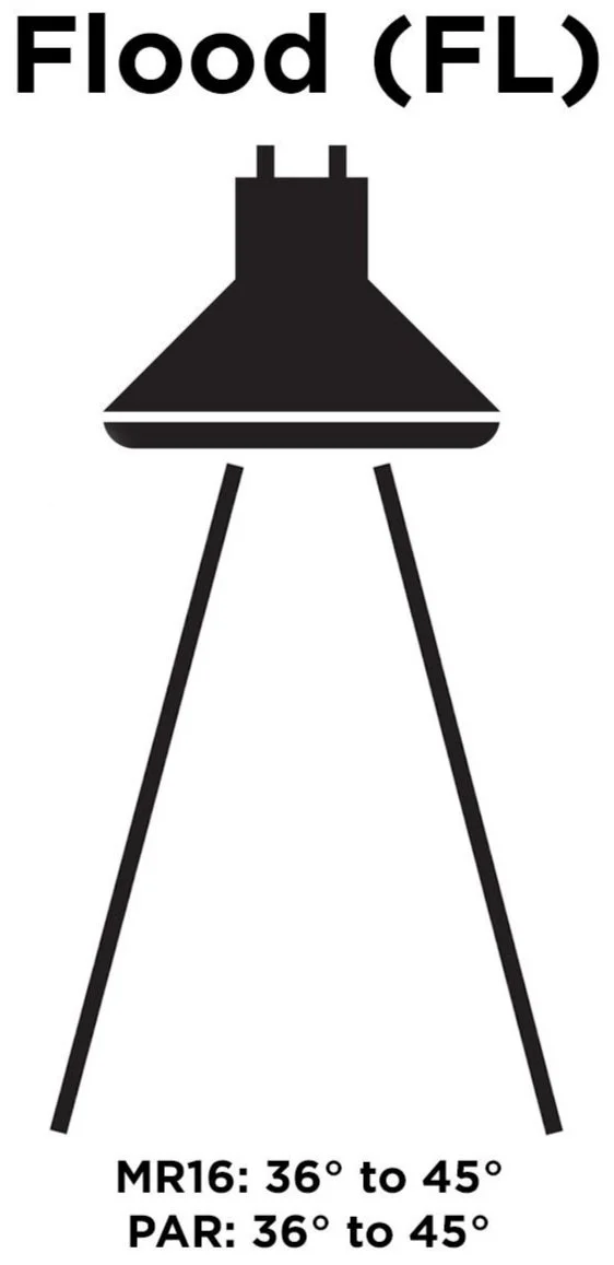 Beam Angle Explained — 1000Bulbs Blog
