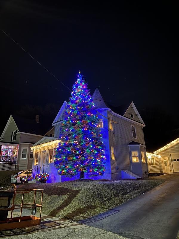 Wrap Up Your Holiday Decorating in Minutes with Rolled LED Mini Lights ...