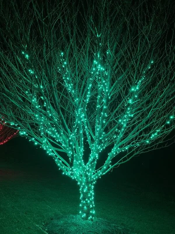 Wrap Up Your Holiday Decorating in Minutes with Rolled LED Mini Lights ...