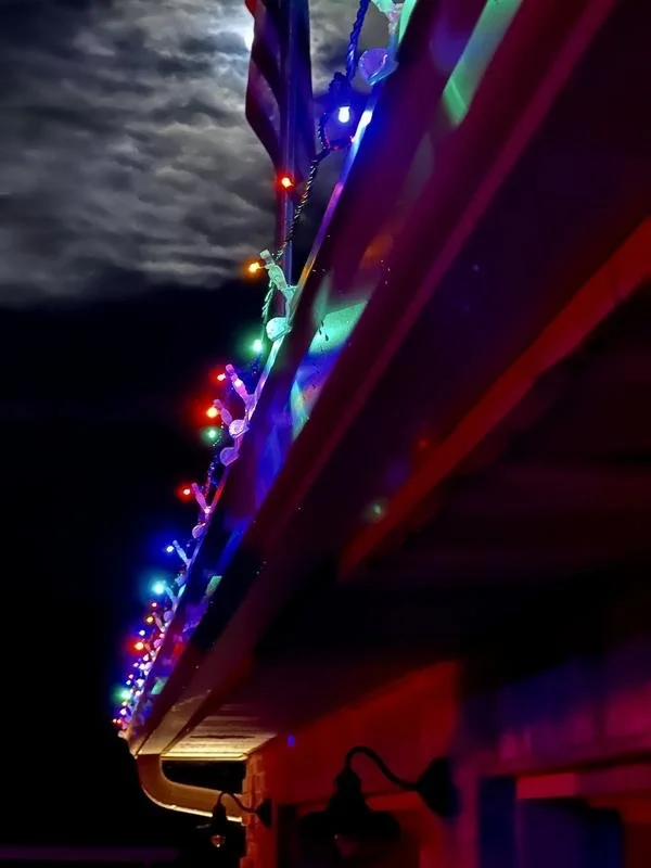 Wrap Up Your Holiday Decorating in Minutes with Rolled LED Mini Lights ...