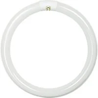 Full Fluorescent Light Ban Starts January 1, 2025 in California ...