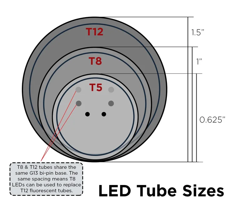 T8 vs T12 Bulbs: How to Convert to LED | 1000Bulbs — 1000Bulbs Blog