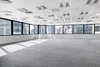 The Perfect Lighting Blend: Enhance Your Space with PLT and PLT ...