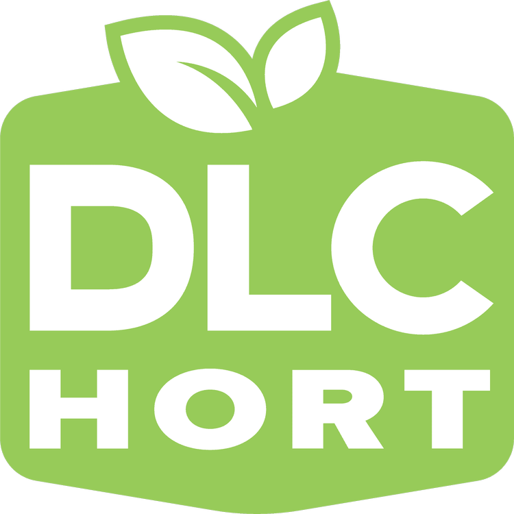 Demystifying DLC: Shedding Light on Who They Are and How They Benefit ...