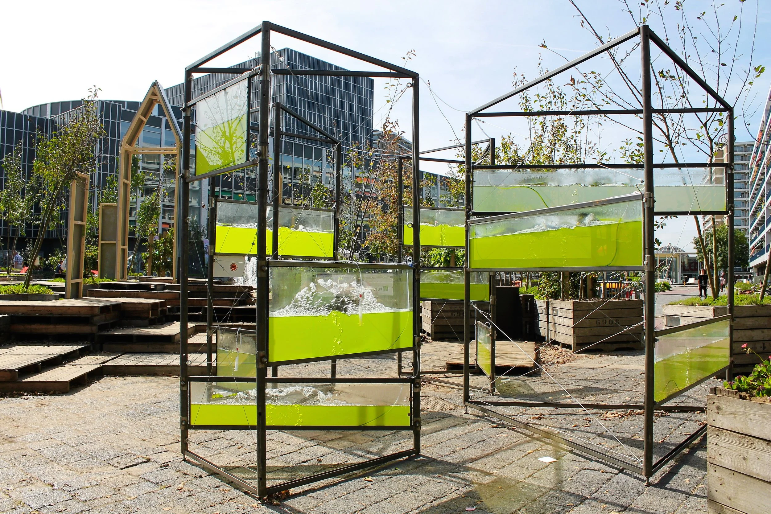 Algae Living — Tim Scheffer