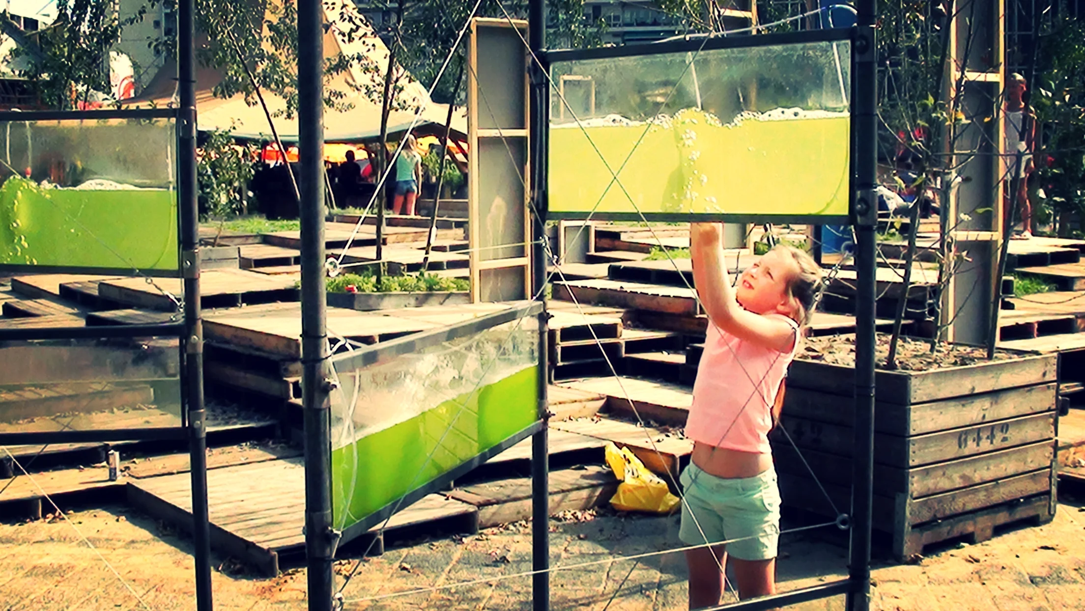 Algae Living — Tim Scheffer