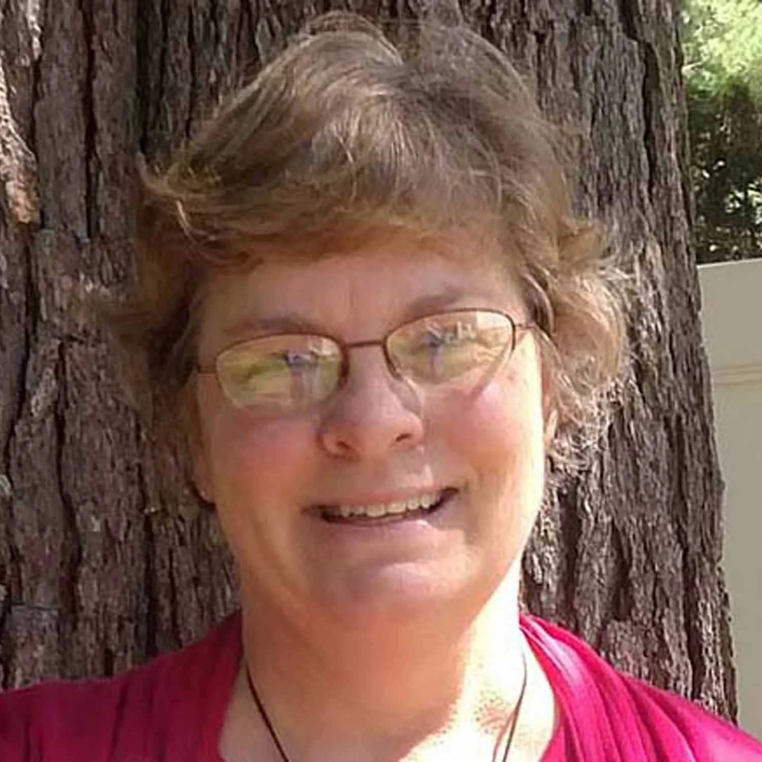 Kerry A. Thompson Website Design