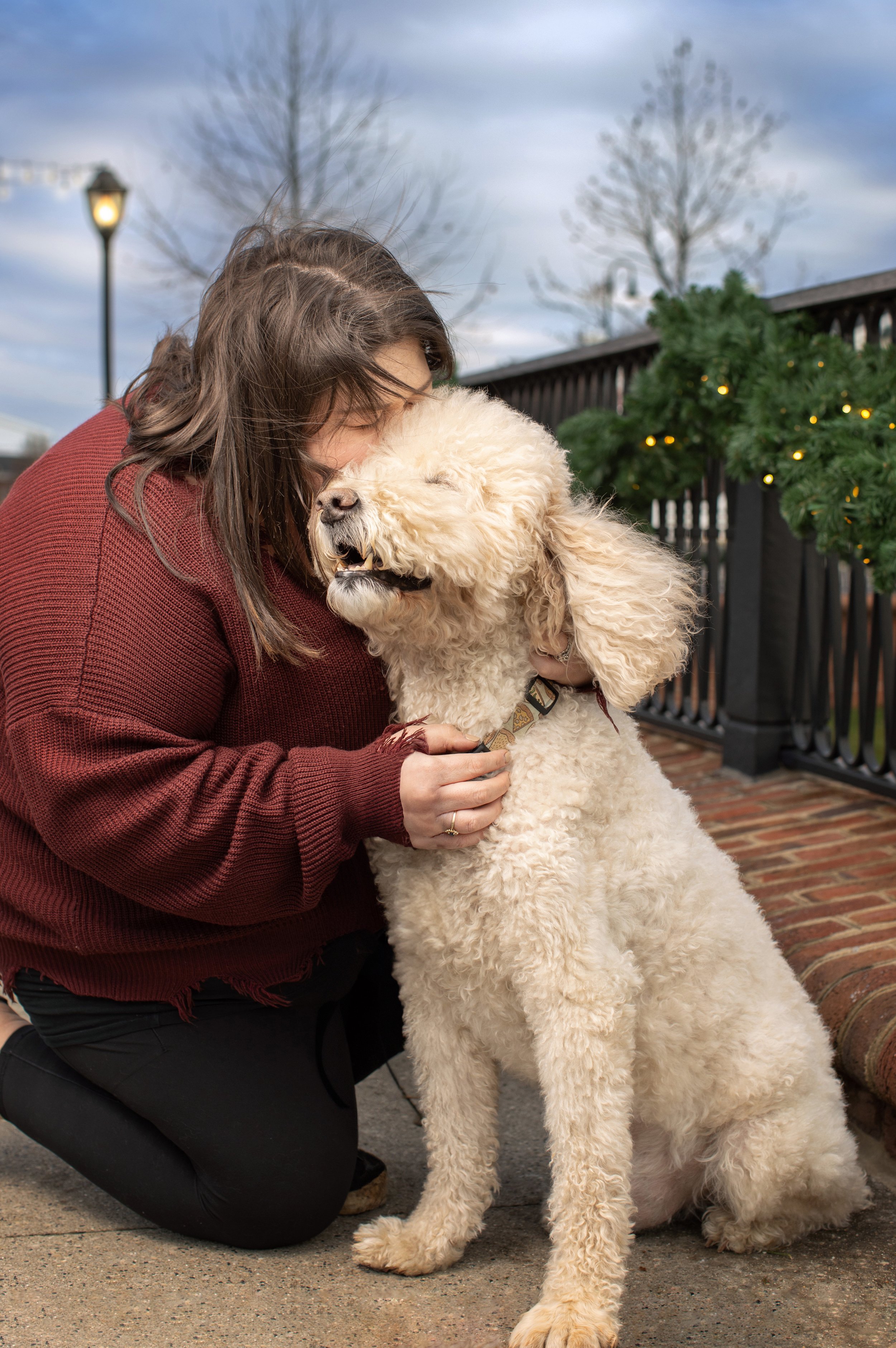 Columbus Ohio Dog and Owner Photography — Holly Hildreth Photography