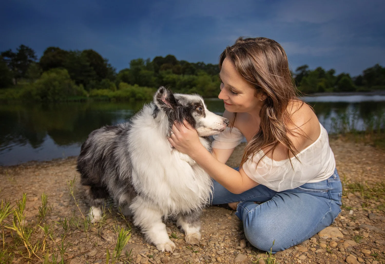 What to expect during your dog's end of life pet photography session ...