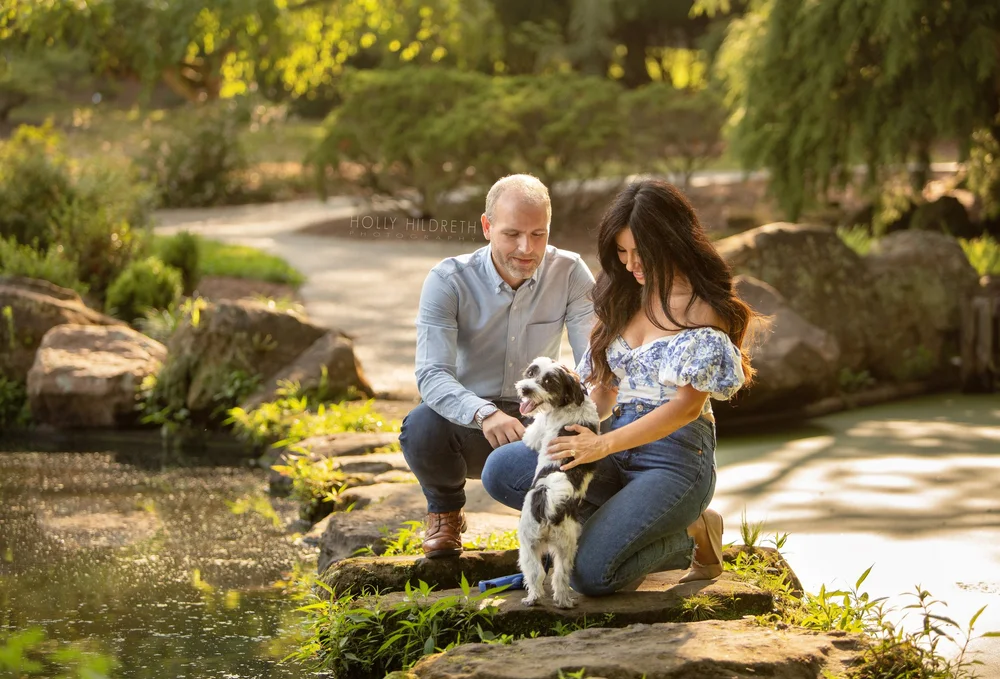 11 Pose Ideas for Dog and Owner Photo Shoots — Holly Hildreth Photography