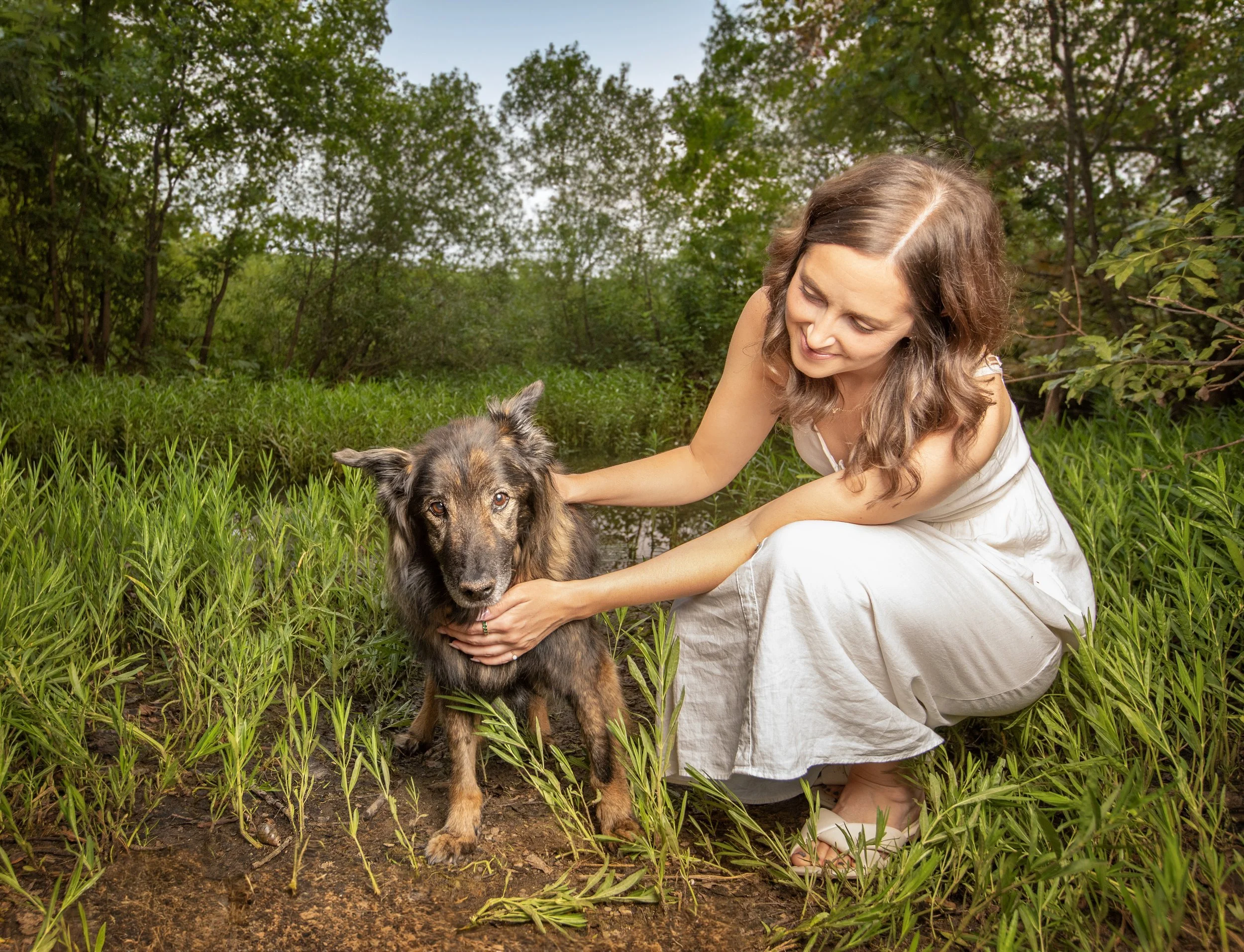 What to expect during your dog's end of life pet photography session ...