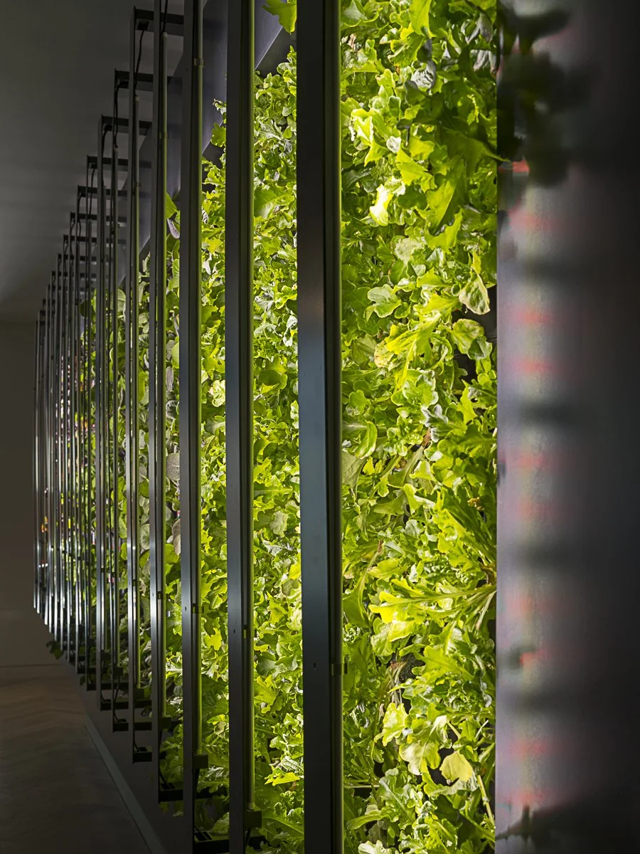 Savills Investment Management, London — Susan Lake Lighting Design