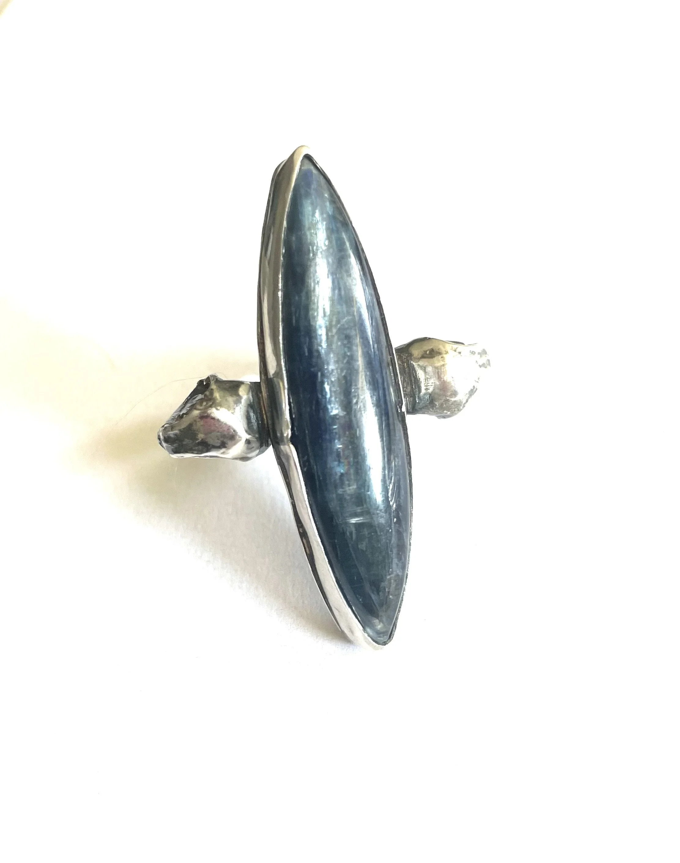 Keeper II Turtle double skull ring with kyanite — Eilisain Jewelry