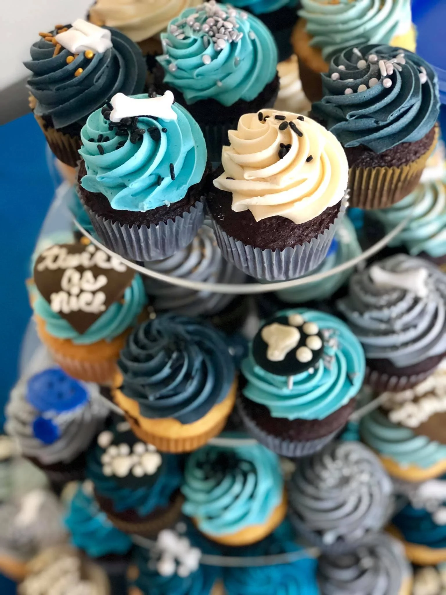 Cupcakes — Baked: Cakes by Design