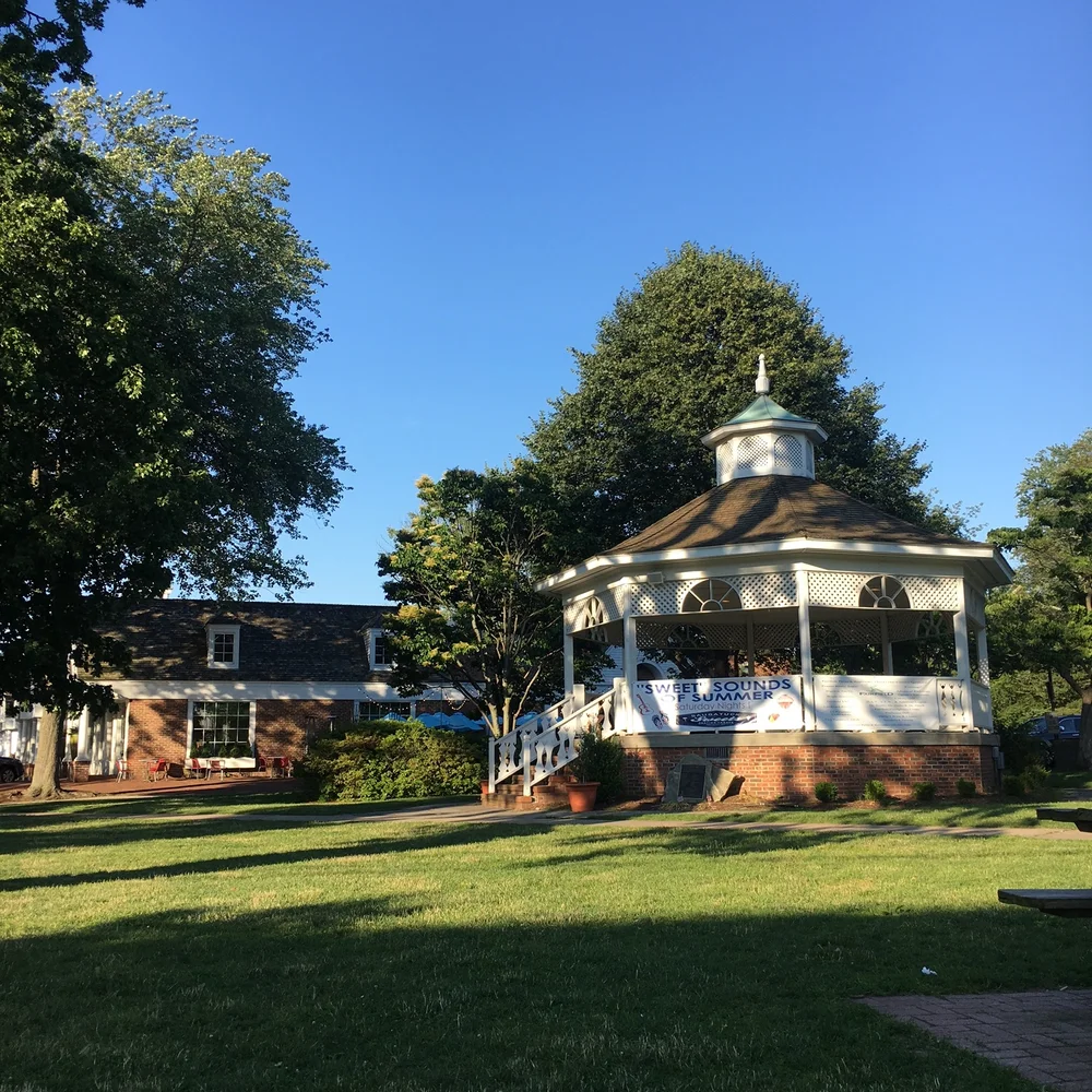 Best moments of May & June — Tamara Hill Murphy