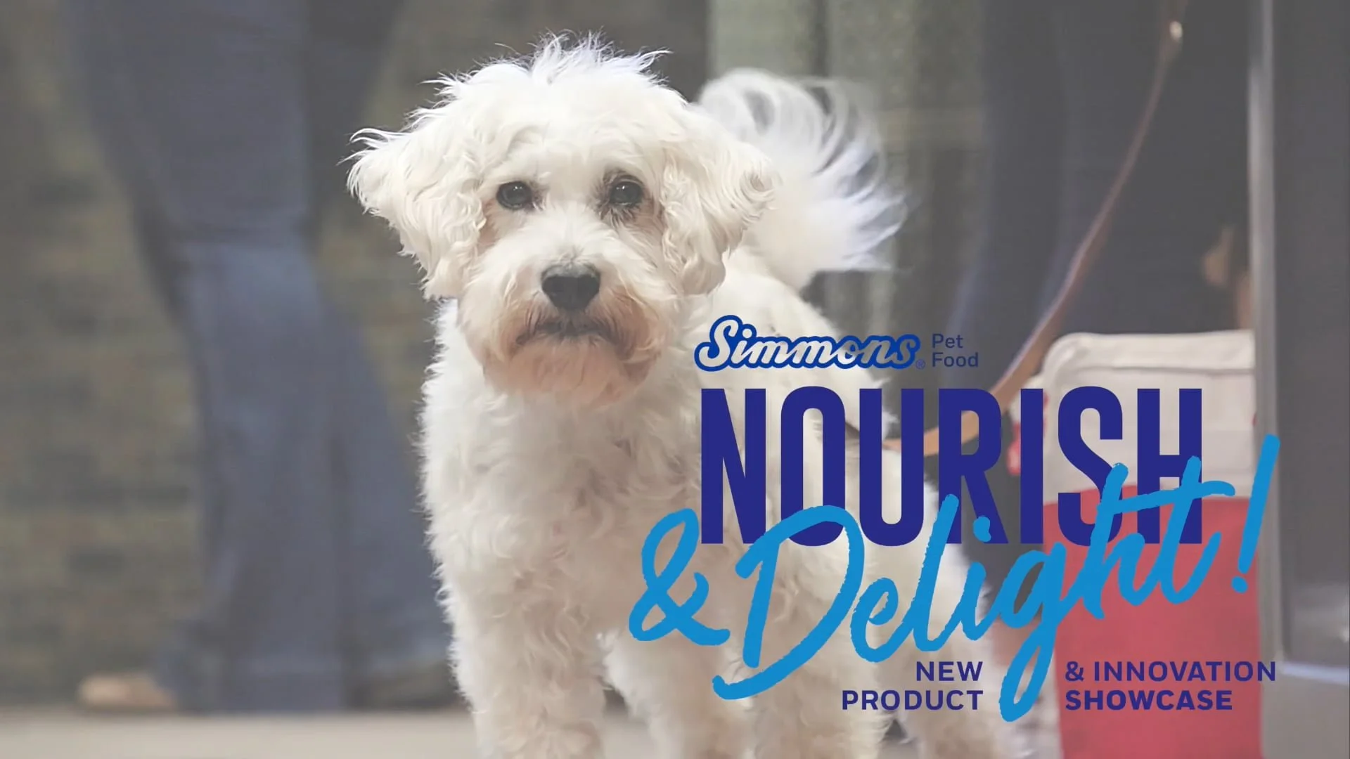 Simmons Pet Food