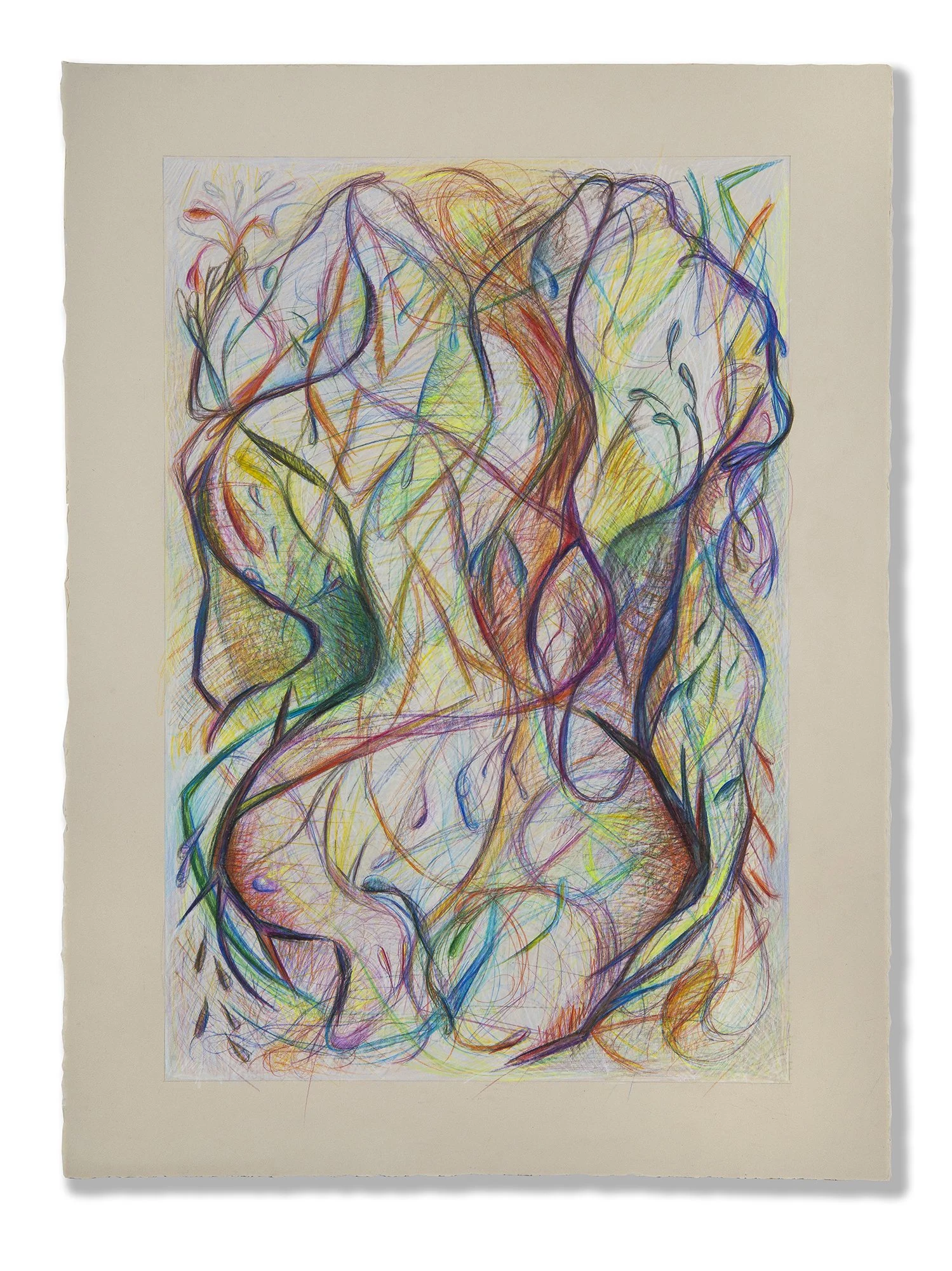 The Recovery Drawings — Ginny Sykes