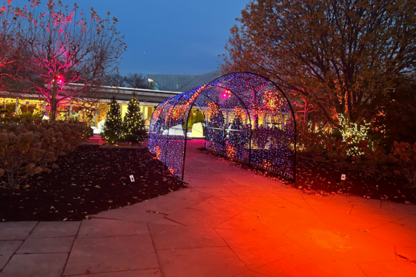 Step into a Winter Wonderland at Frost: A Magical Holiday Experience in ...
