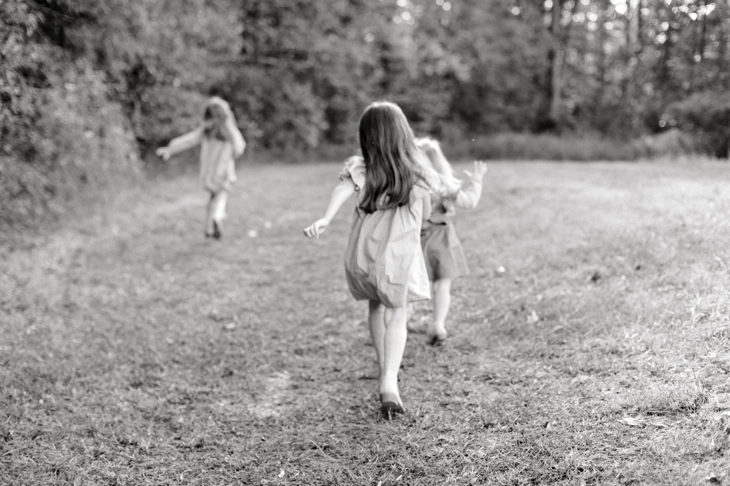 Danielle Gallo Photography
