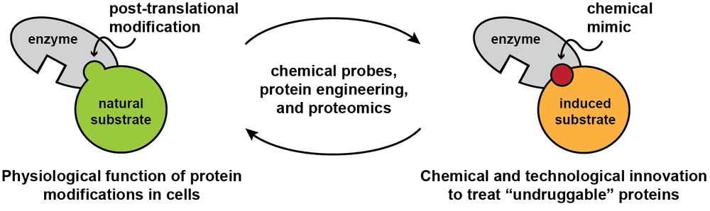 Research — Woo Lab