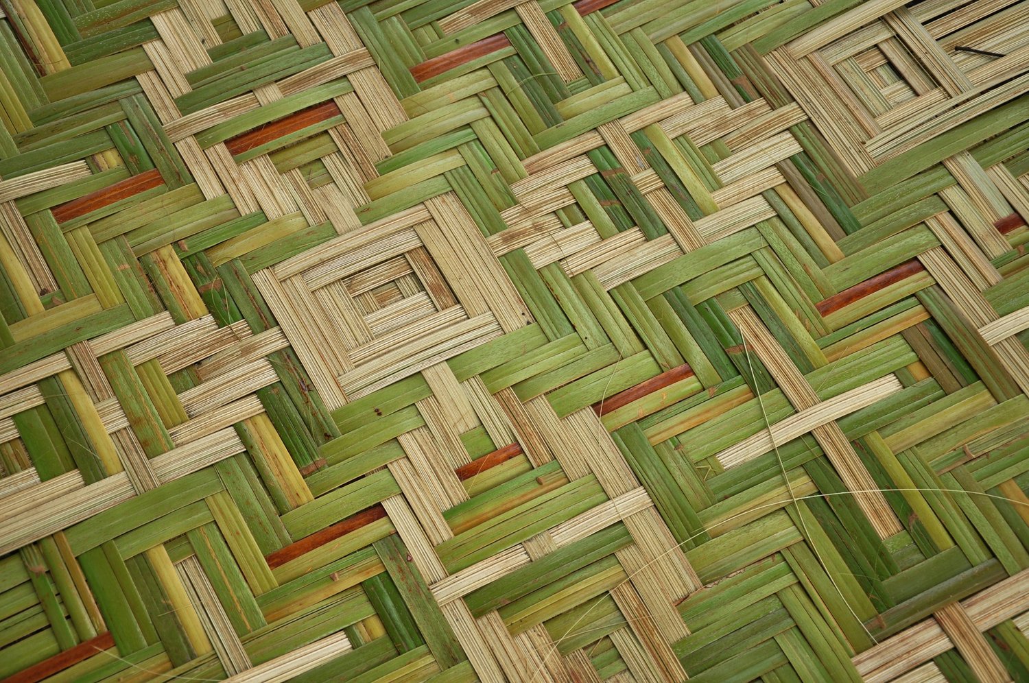 Our Story | SAGO - Design Build Architecture