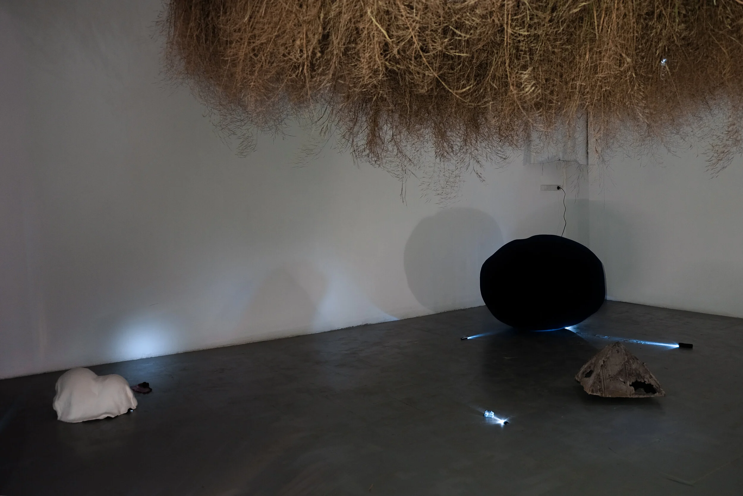 Tangent projects gallery exhibitions 2020 — Tangent Projects