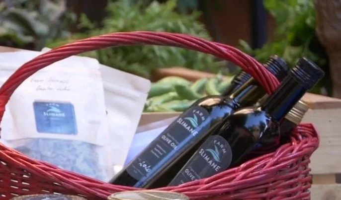 What We Offer — Sanctuary Slimane