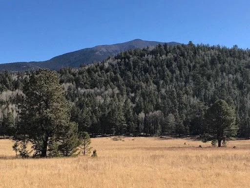 Balancing Cultural Traditions with a New (Old) Land Use — The Western ...