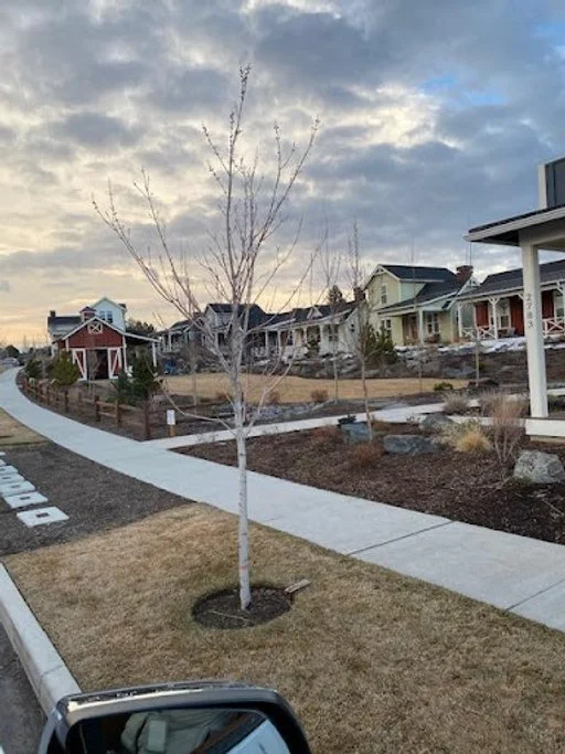 Opening Zoning Barriers to the Missing Middle in Bend, Oregon — The ...