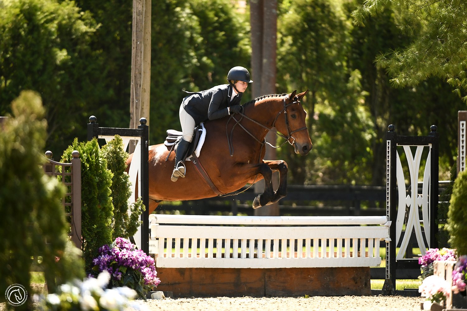 Sales and Leases — CMS