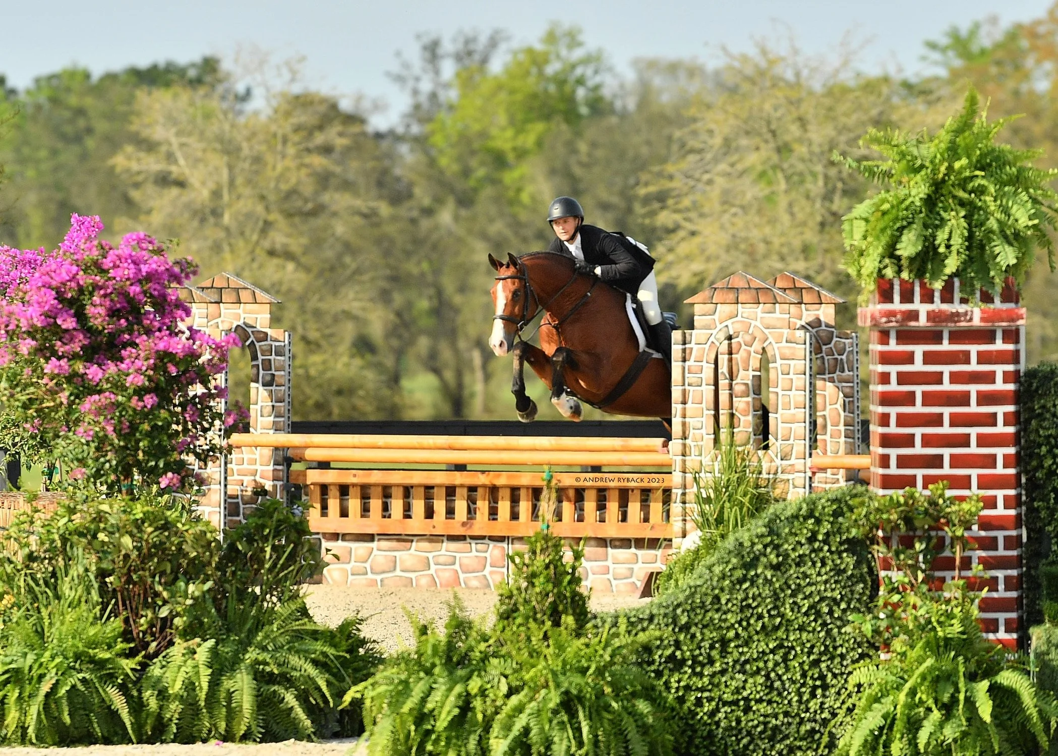 Famous Hunter Horses