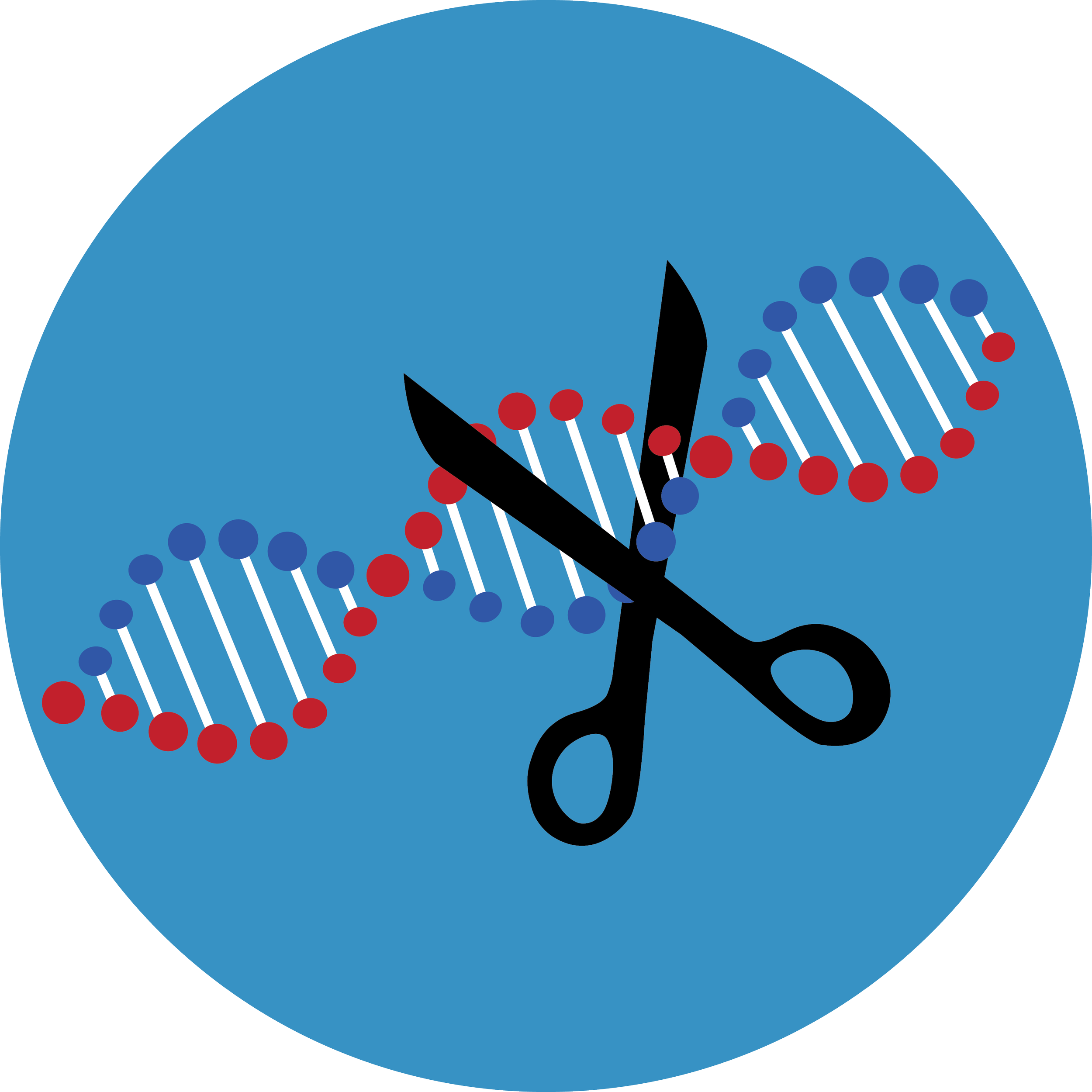 All Committees — Berkeley Model United Nations