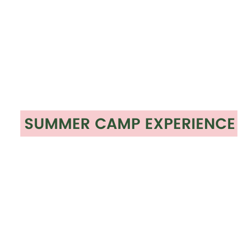 Summer Camp Experience — The GEMS Camp