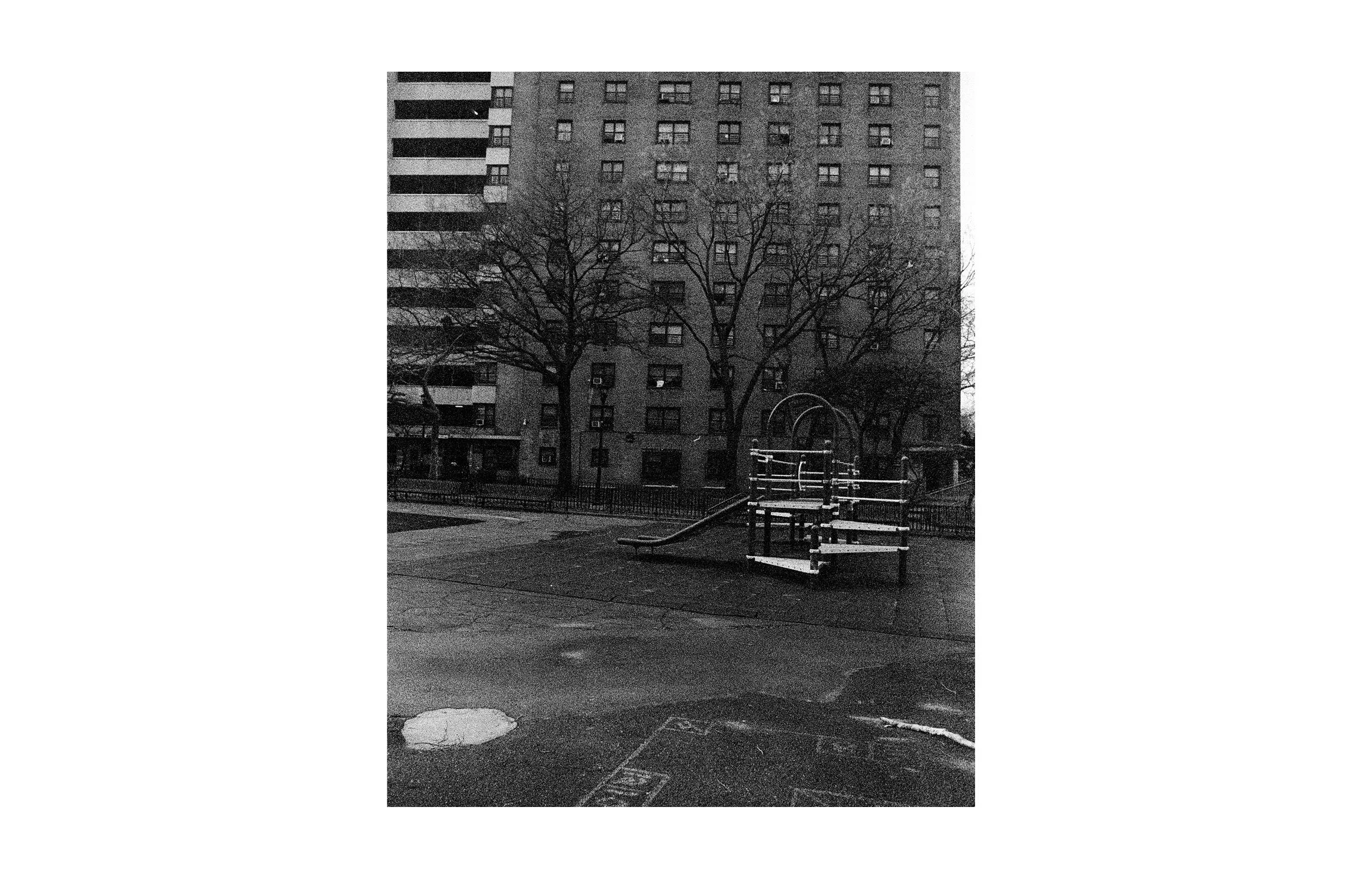 Sheree Porter Photography