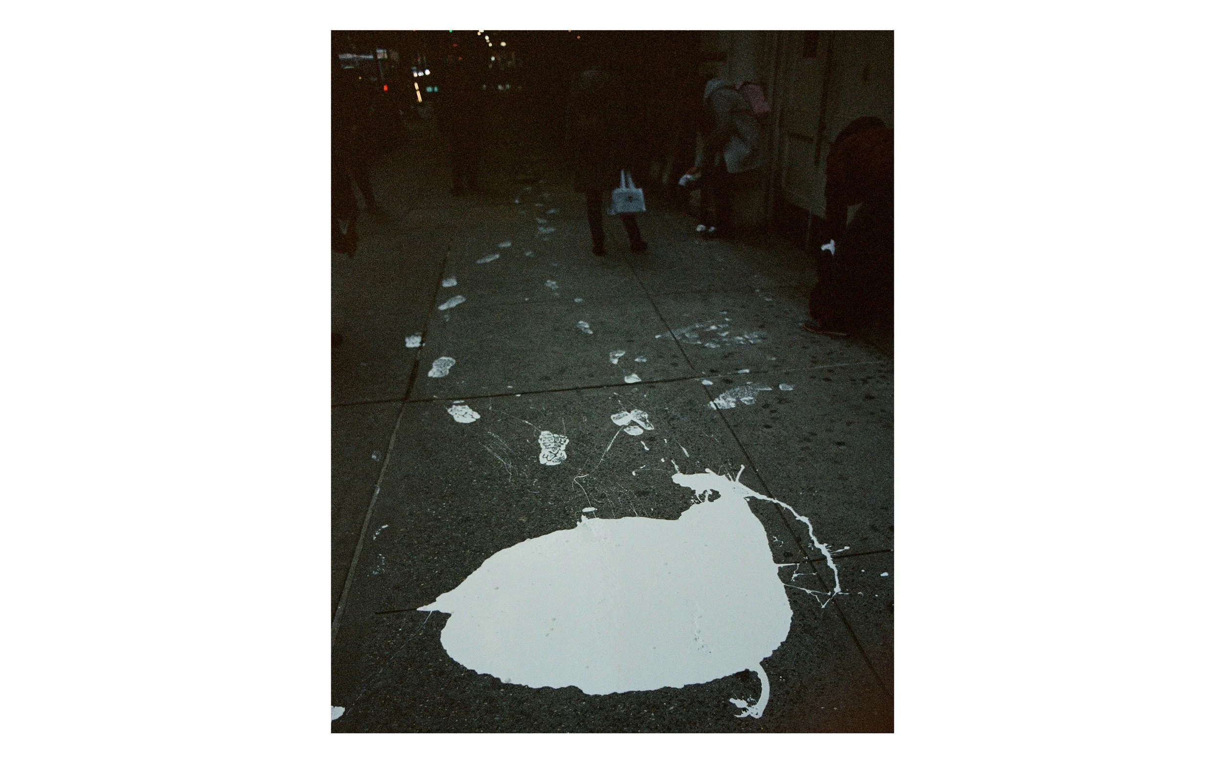 Sheree Porter Photography