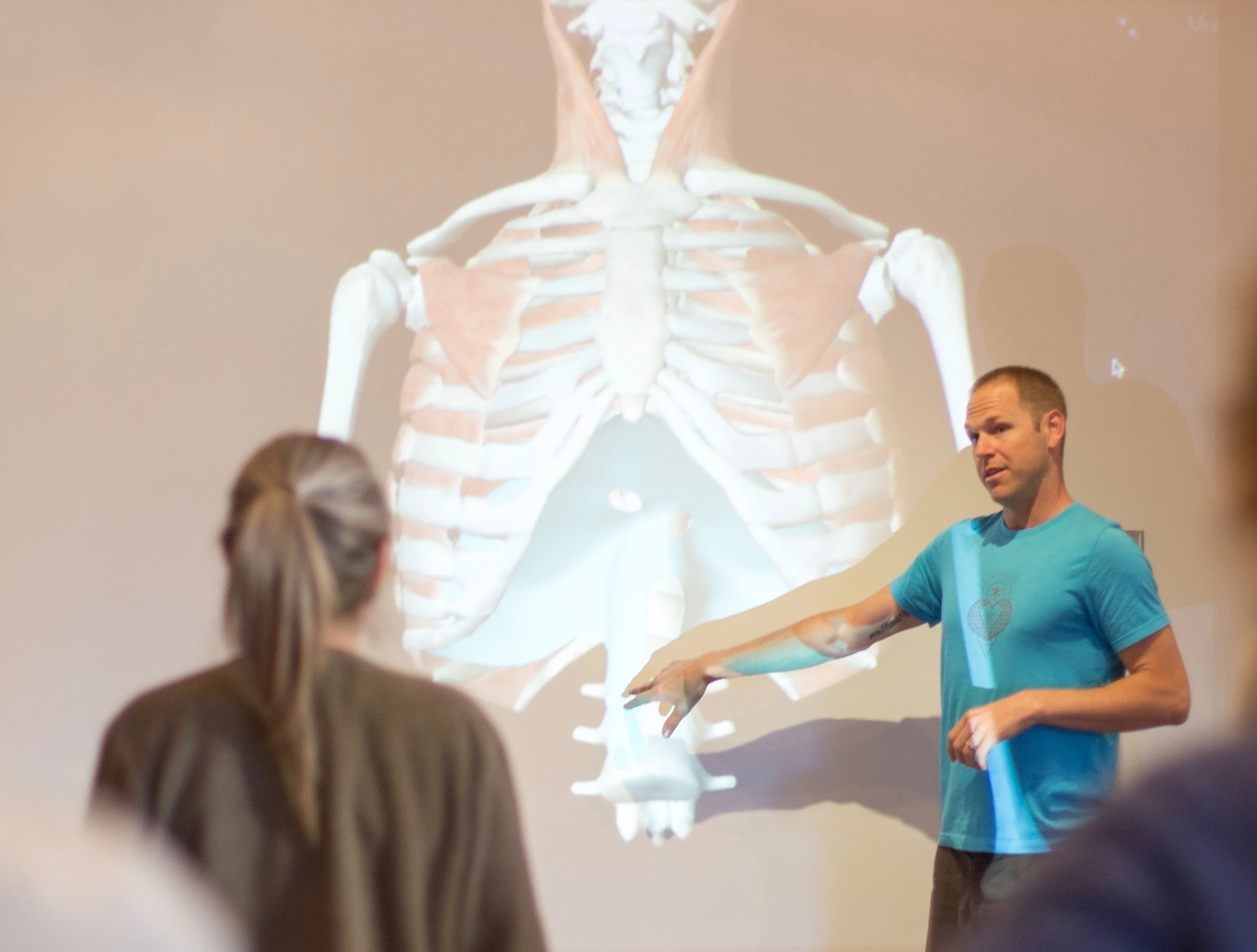 Anatomy Training — Dr. Mike Lane, DC