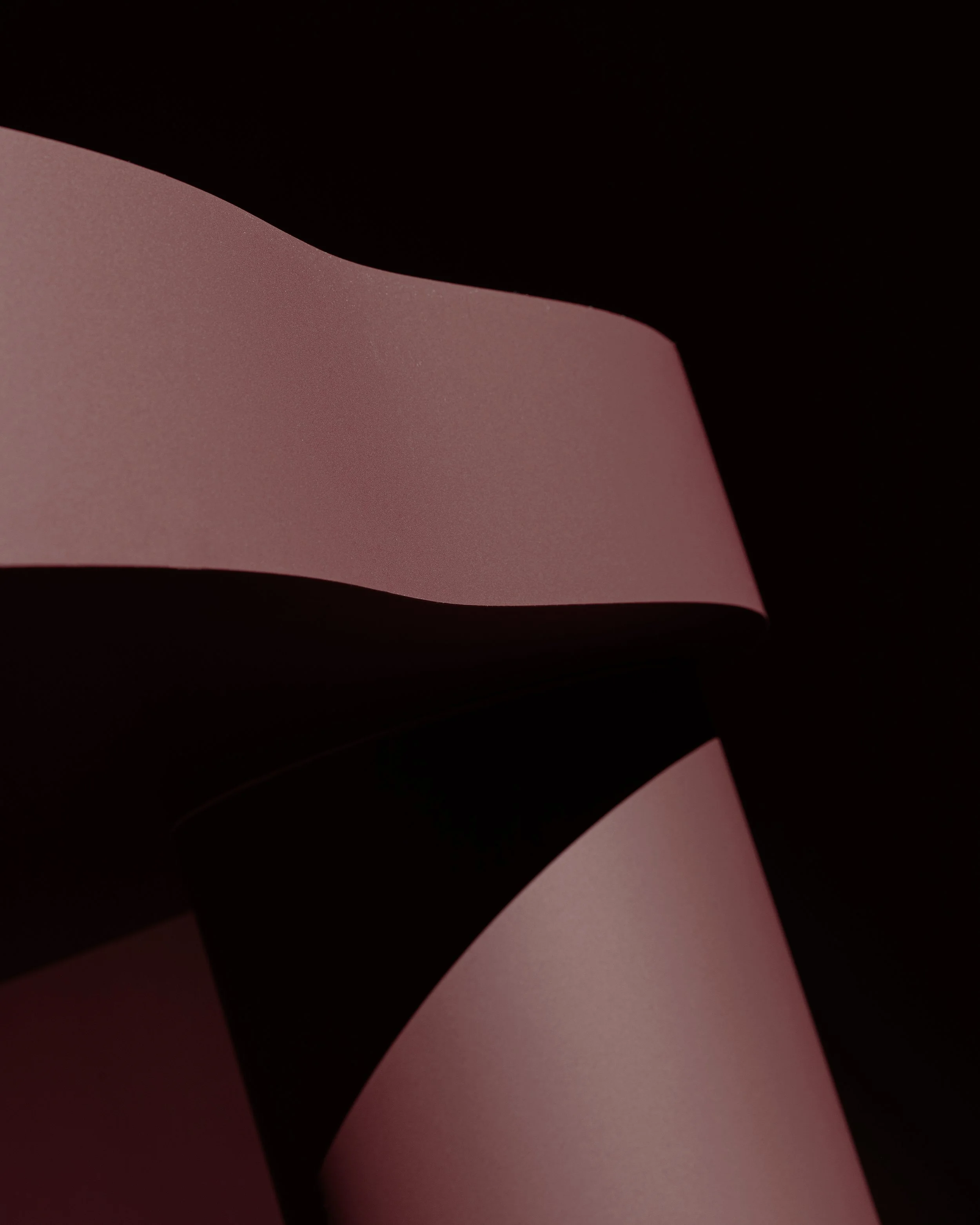 Wall of Wonders x Fenix — CARA \ DAVIDE