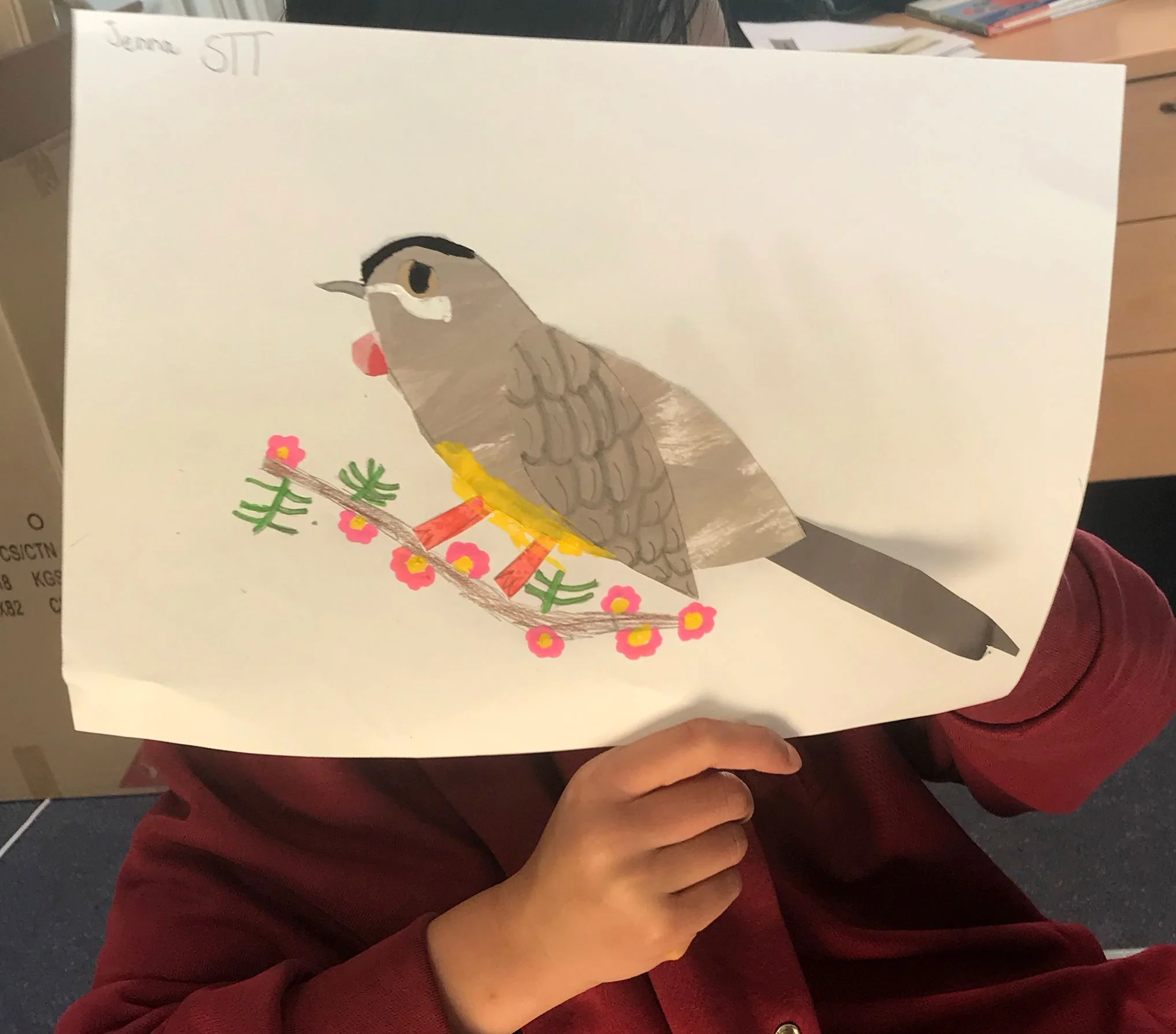 Author-illustrator school visits and incursions — Sarah Allen