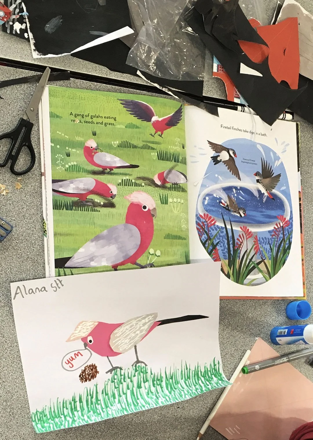 Author-illustrator school visits and incursions — Sarah Allen