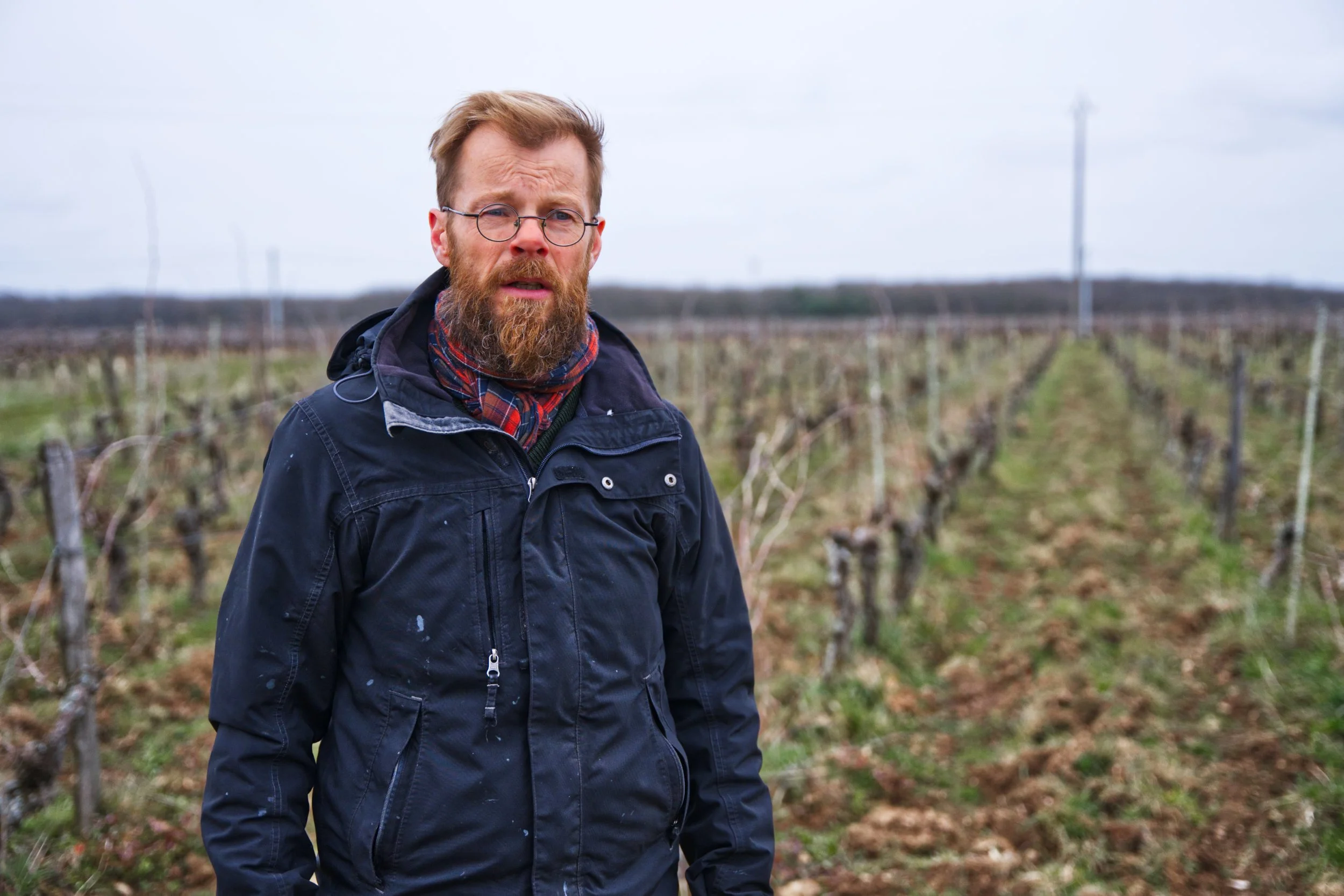 Wines Under the Bonnet